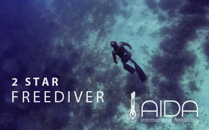 Training – Saltfish Freediving